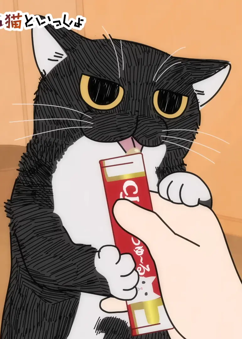 Characters appearing in CIAO Churu x Nights with a Cat CM Anime | Anime ...