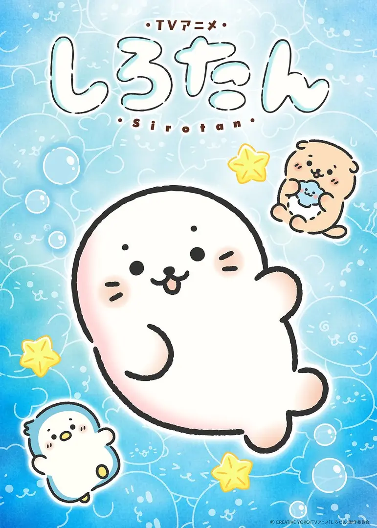Shirotan | Anime-Planet