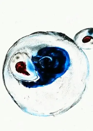 Water, Water | Anime-Planet