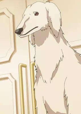 Alus | Anime-Planet