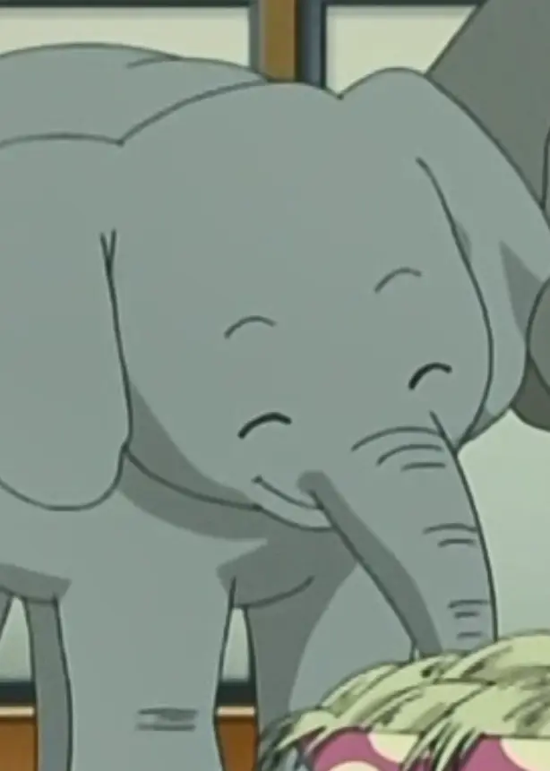 Baby Elephant | Anime-Planet