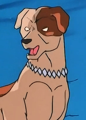 Basset | Anime-Planet