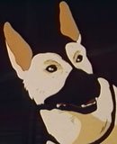Buck | Anime-Planet