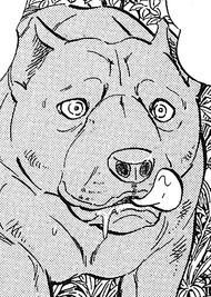 Bull | Anime-Planet