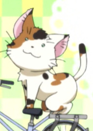 Bunta | Anime-Planet