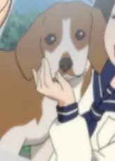 Candy | Anime-Planet