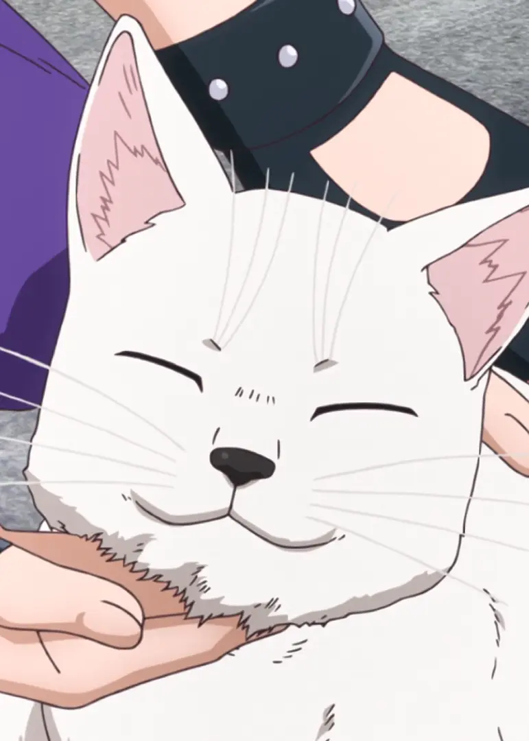 Cat | Anime-Planet
