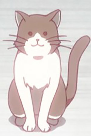 Cat | Anime-Planet