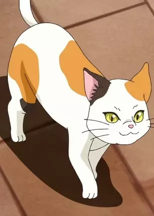 Cat | Anime-Planet