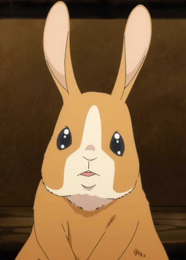 Cha-Cha | Anime-Planet