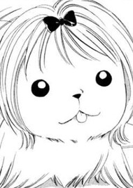 Choppy | Anime-Planet