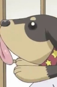 Choppy | Anime-Planet