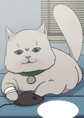 Chow | Anime-Planet