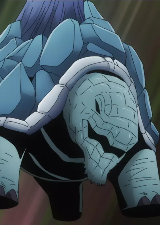 Cleio-Tortoise | Anime-Planet