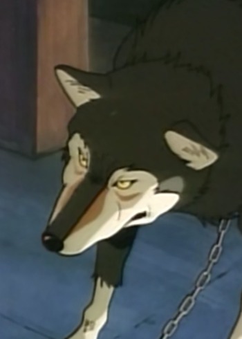 Coney | Anime-Planet