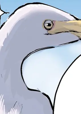 Contrarian Bird | Anime-Planet