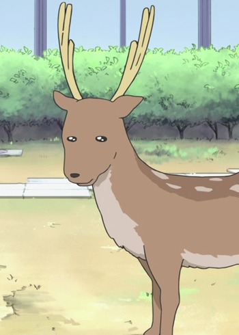 Deer | Anime-Planet