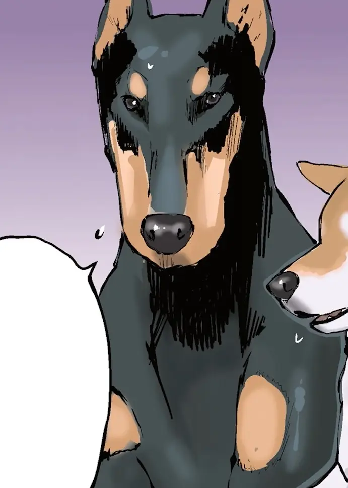 Doberman | Anime-Planet