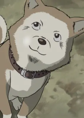 Dog | Anime-Planet