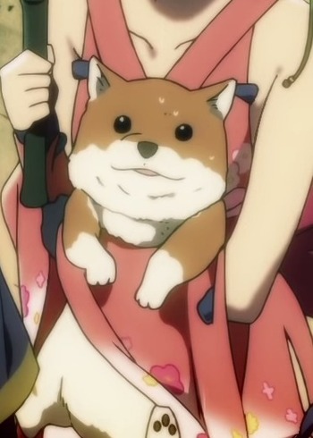 Dog | Anime-Planet