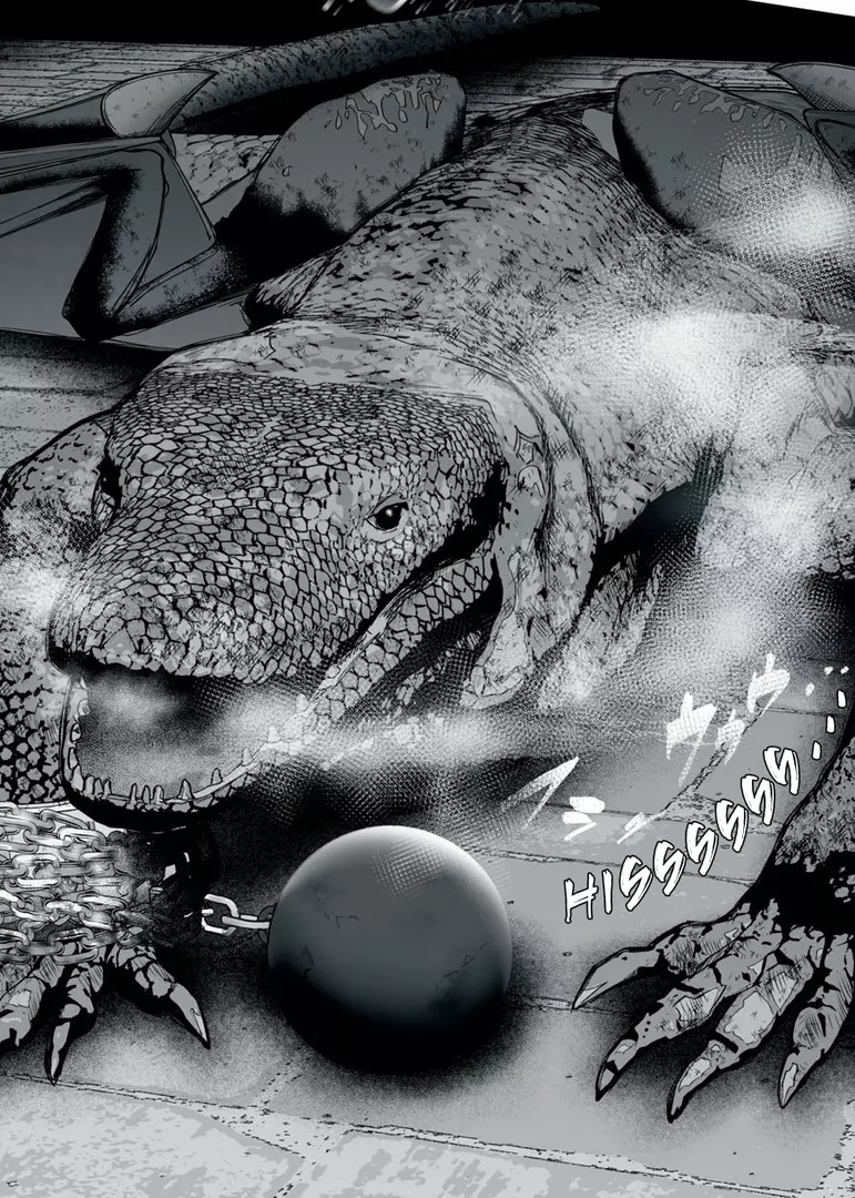 Dragon | Anime-Planet