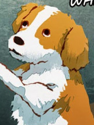Finch #3 | Anime-Planet