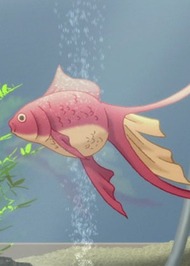 Goldfish | Anime-Planet