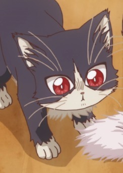 Hachi | Anime-Planet