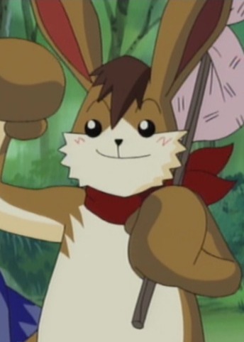 Ham | Anime-Planet
