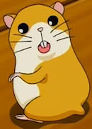 Hamster | Anime-Planet