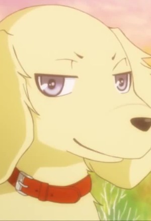 Happy | Anime-Planet