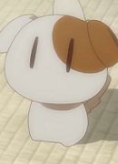 Harimao | Anime-Planet