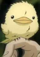 Hibird | Anime-Planet