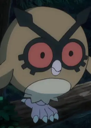 Hoothoot | Anime-Planet