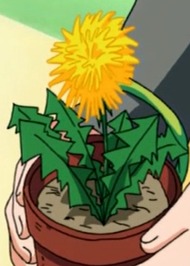 Characters appearing in Popotan Anime | Anime-Planet