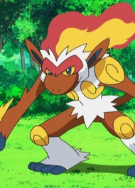 Infernape | Anime-Planet