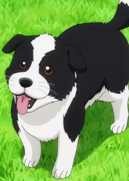 John | Anime-Planet