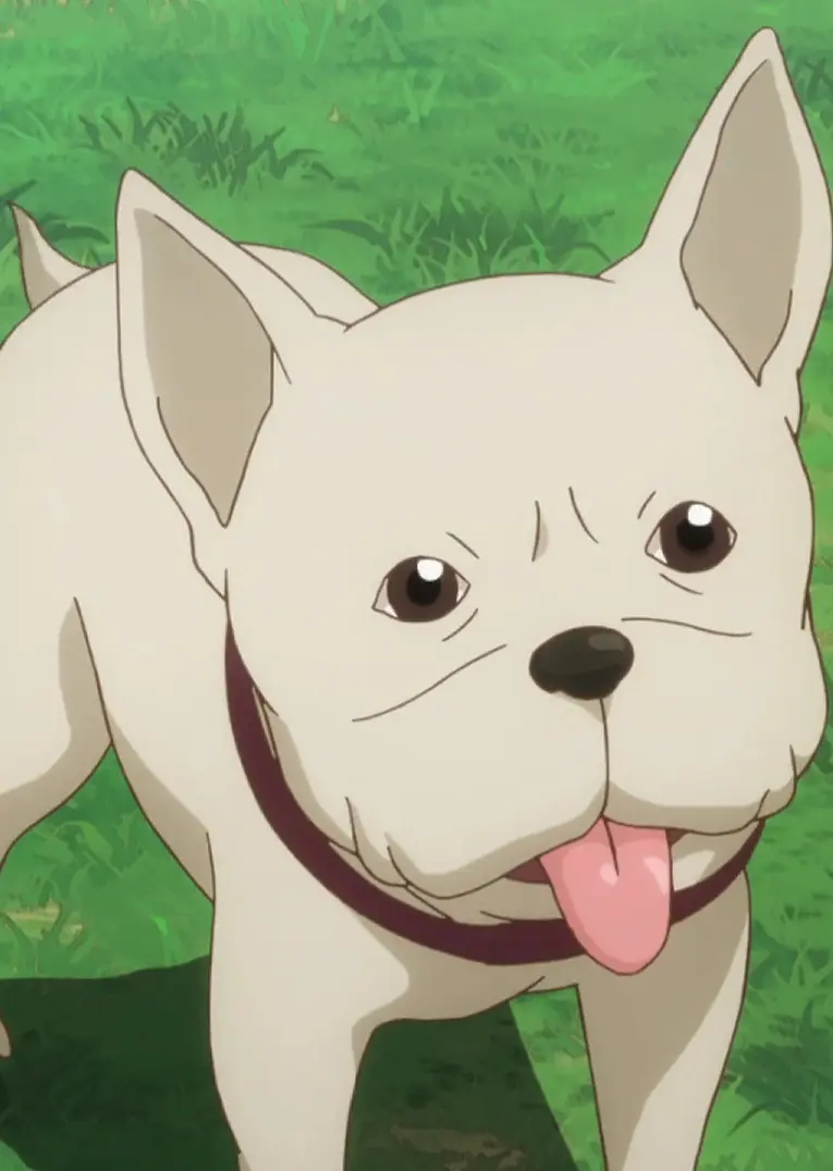Kenta | Anime-Planet