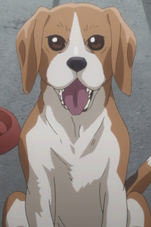 Kevin | Anime-Planet