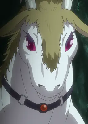 Kiri | Anime-Planet