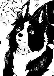 Kojiro | Anime-Planet