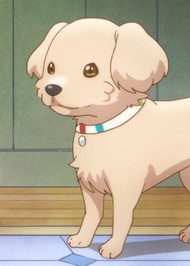 Kyu | Anime-Planet