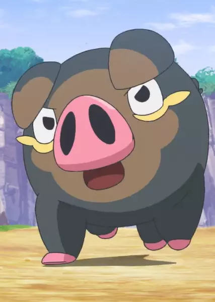 Lechonk | Anime-Planet