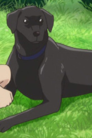 Lyuba | Anime-Planet