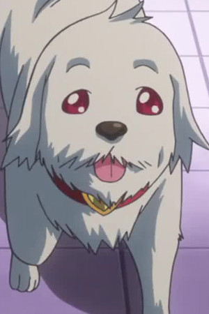 Mallow | Anime-Planet