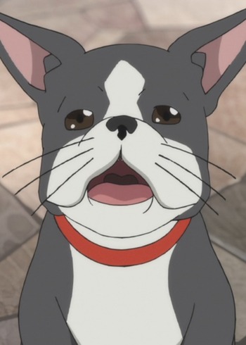 Mimi | Anime-Planet