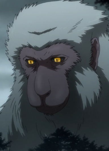 Monkey Spirit | Anime-Planet
