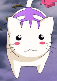 Nya | Anime-Planet