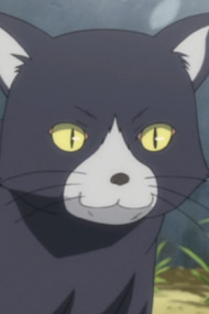 Nya | Anime-Planet