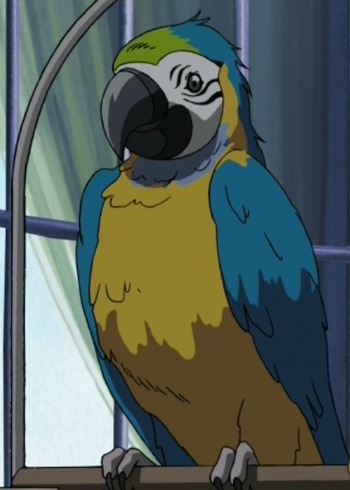 Parrot | Anime-Planet